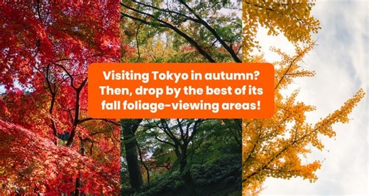 12 Best Places to See Autumn Leaves in and Around Tokyo (2025 Guide) - Klook Travel Blog