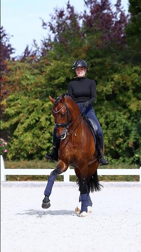 Meet your all-terrain essential: the Crew Saddle Pad in Navy. #dressage #dressur #horseriding