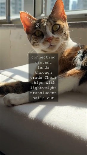 Cats and the Phoenicians A Tale of Ancient Trade Long before cats became household pets...