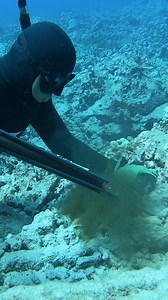 872K views · 13K reactions | How To Catch Octopus! #spearfishing #fishing | Ryan Myers Spearfishing | Facebook