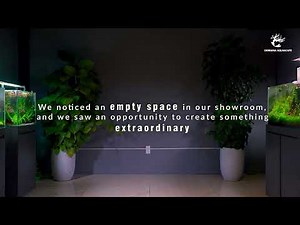 14 Betta Display Tanks on a Shelf! Complete Setup Guide - Simple Nano Betta Fish Tank.