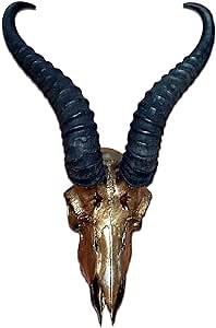 cowhidesusa Real Springbok Skull Bronze Spray Painted with metal bracket African Antelope Horns - African Antelope Antlers -