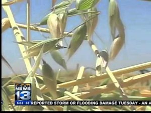 Senators holding climate meeting here