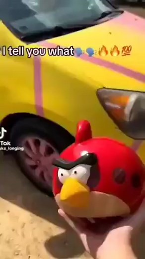 Angry Birds Red Meme Compilation