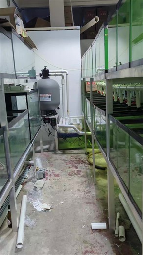 143K views · 730 reactions | K1 reactor strapped to existing bio breeding system. Big thanks to #milwaukeeinstrumentsusa and to #jebaopump | Jack Wattley Discus | Facebook