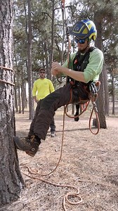13 reactions | Last Friday at Black Forest Regional Park: tree rescue training in action. #treecare #arborist #landscaping | Timberline Landscaping | Facebook