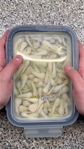 Épisode 3 : les pickles d’onions de Chine 🧧