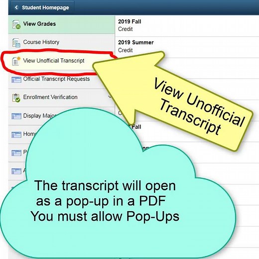 WLAC Unofficial Transcript Video New SIS