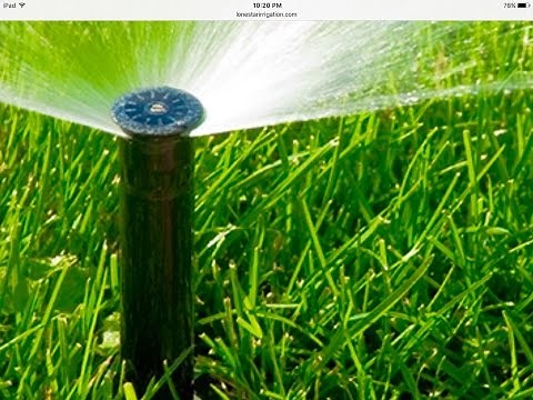 🌎 Washing Machine water -- Saves Your Lawn-- Grey Water Sprinkler --DIY