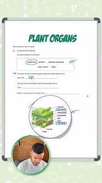 GCSE Biology: Exam Question | Plant Organs