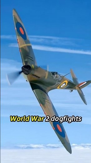 Why the Spitfire’s Eight Guns Changed WWII Air Combat #spitfire #shorts