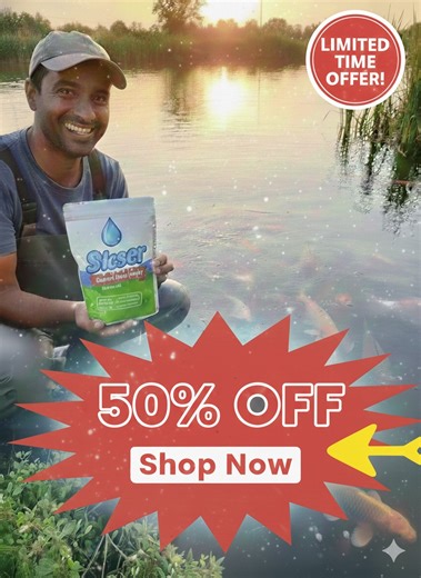 Your pond water shouldn’t feel like a gamble. Add Water Conditioning Powder and turn tap/pond water instantly fish-safe — chlorine gone, ammonia neutralized, smell reduced, and water chemistry balanced. Clearer water, stress-free fish, zero complicated setup. Just sprinkle… and watch your pond breathe easier. 🟦🐟 | 𝚃𝚛𝚎𝚗𝚍𝚢𝚂𝚘𝚕𝚟𝚎