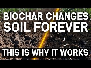 Biochar Soil Secrets: Turn Dead Dirt Into a Living Fertility Engine