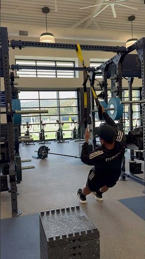 TRX single arm row with rotation