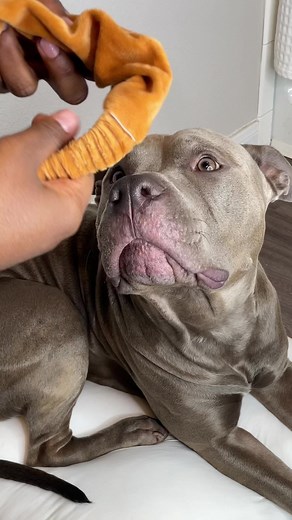 392K views · 23K reactions | Reign Getting Fresh For His Birthday...