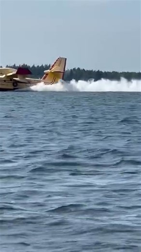 Water Bombers filling up in Shediac to fight a forest fire in Irishtown. Thankful for these brave men and woman who are trying to get the fire out. 🔥🌲 #ForestFire #WaterBomber #Moncton #Fire #Firefighter #HeatWave #DrySeason #Hot #Forest @topfans Video by Tim Con 🎥 | The Humanity Project