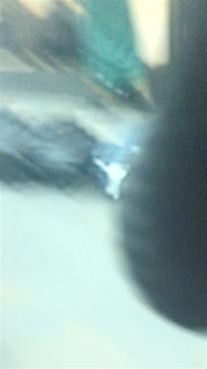 CODE 55 (@code.5543)’s videos with original sound - CODE 55