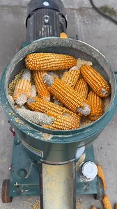 Our feed pelletizer machine delivers top performance with balanced pressure and minimal maintenance. Perfect for all feed types! Whatsapp: wa.me/ 8615966681218 #feedpelletizermachine #animalfeedpelletmachine #feedmillmachine #pelletmachineforanimalfeed #feedpelletmill #animalfeedpelletingmachine | Pellet Machine Manufacturer