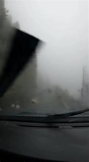 Wind + Barrel + Bridge… and They Survive 😮 #Dashcam #Luck