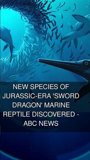 New species of Jurassic-era 'sword dragon' marine reptile discovered - ABC News
