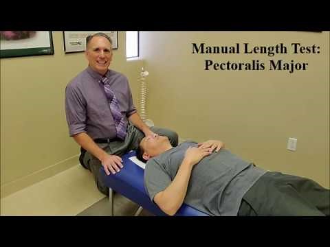 Pectoralis Major Length Test