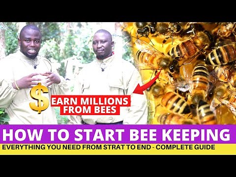Beekeeping: How To Start and Make Millions - Complete Guide and Tips
