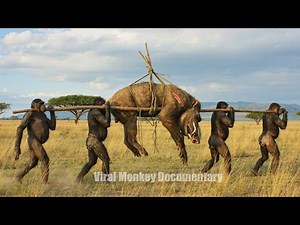 Life 2.4 Million Years Ago: The Giant Saber-Tusked Boar vs. Australopithecus | Prehistoric EP7