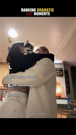 Ranking Dramatic Cat Moments