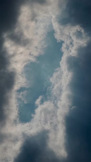 #radiohead #ambience #atmoshphere #birds #reallife