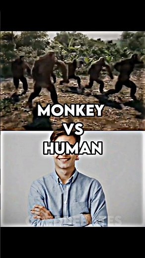 Monkey Vs Human