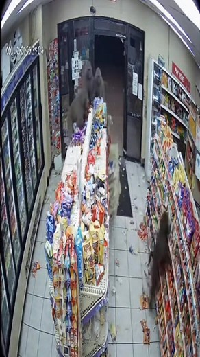 1K views | Security Cam Captures Absolute Madness  | AImagination Hub | Facebook