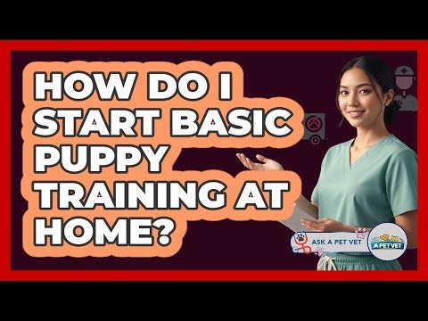 How Do I Start Basic Puppy Training At Home?