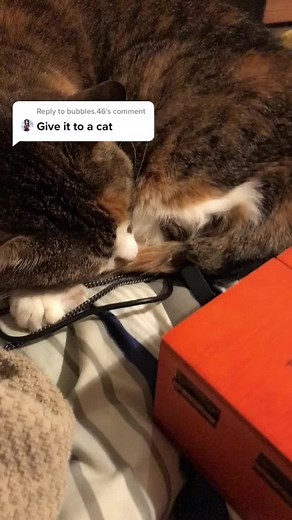 Just a girl on TikTok