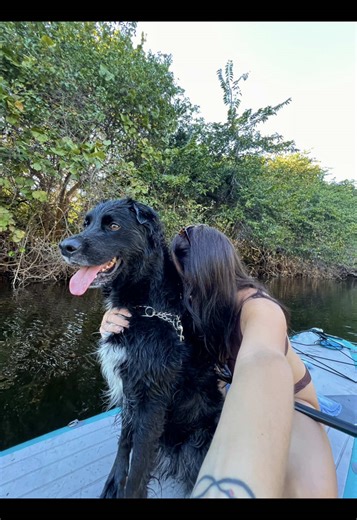 Not shown… koa falling off the paddle board twice chasing a turtle #dayinthelife #boatlife #fyp