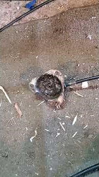 polaris wedge speedometer adapter test #polaris #mechanic #snowmobile