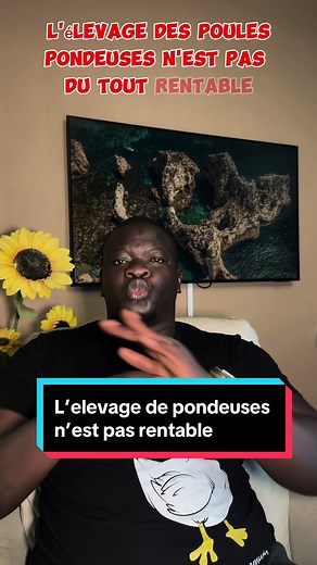 L'élevage rentable de poules pondeuses et les conseils de Koita Biagui