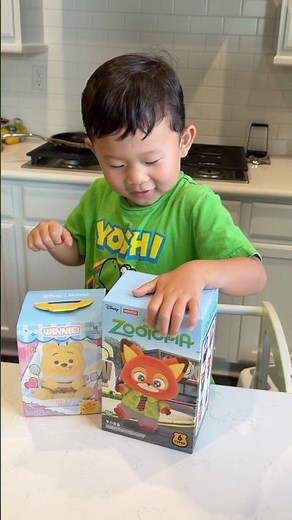 Opening every blind box in the world (MINISO Zootopia)