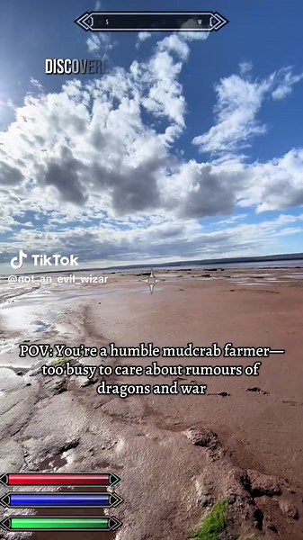 Mudcrab Fishing Adventure in Daggerfall's Shores