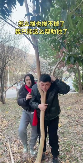 I can't pull it out no matter how hard I try. I can only help him in this way.#funny#comedy #shorts