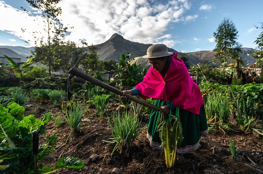デコロナイゼーション（脱植民地化）とは・意味 | 世界のソーシャルグッドなアイデアマガジン | IDEAS FOR GOOD