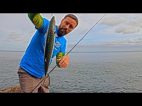LRF Mackerel | Lure Fishing for Pollack | Dolphins | LRF UK