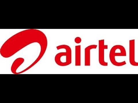 Accountancy Project AIRTEL INDIA LTD. 2023#accountancyclass12 #class12project #accounts #class12