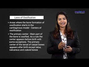 Stages of Intramembranous Ossification | Human Physiology