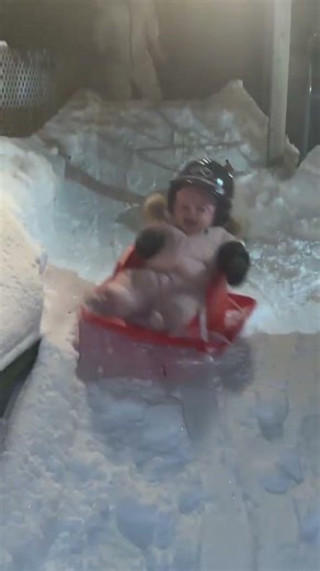 Delighted Baby Sleds Down Homemade Snow Track