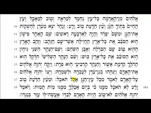 Torah Reading - Genesis Chapter 2 (HD)