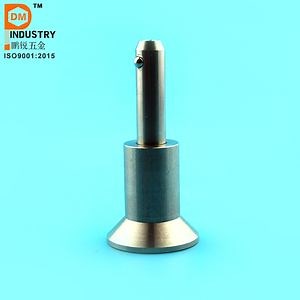 [Hot Item] 304 316 Stainless Polished Quick Release Lock Pin