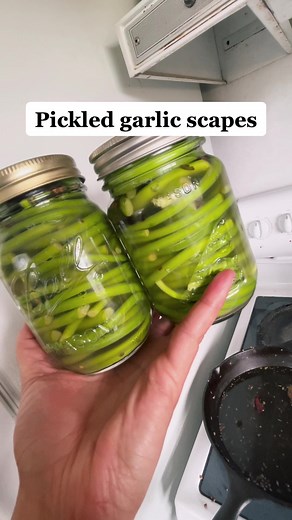 Delicious Pickled Garlic Scapes Recipe for Home Canning