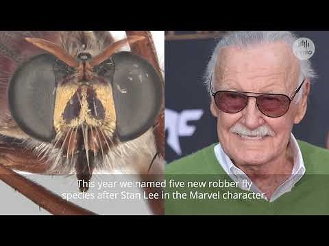 Come on a tour of the Australia National Insect Collection