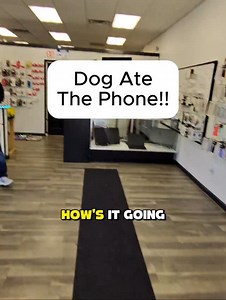 🚨DOG ATE THE PHONE!! 🐕 Are you having a tech problem? We accept mail ins! We have a Mail-In Link that’s in our bio and we’ll bring your device back to life! 🩺💊 #phonerepair #phone #Tech #phonecase #repair | Digital Doctor Repairs
