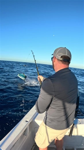 Exciting Dorado Fishing Adventures in Cabo San Lucas